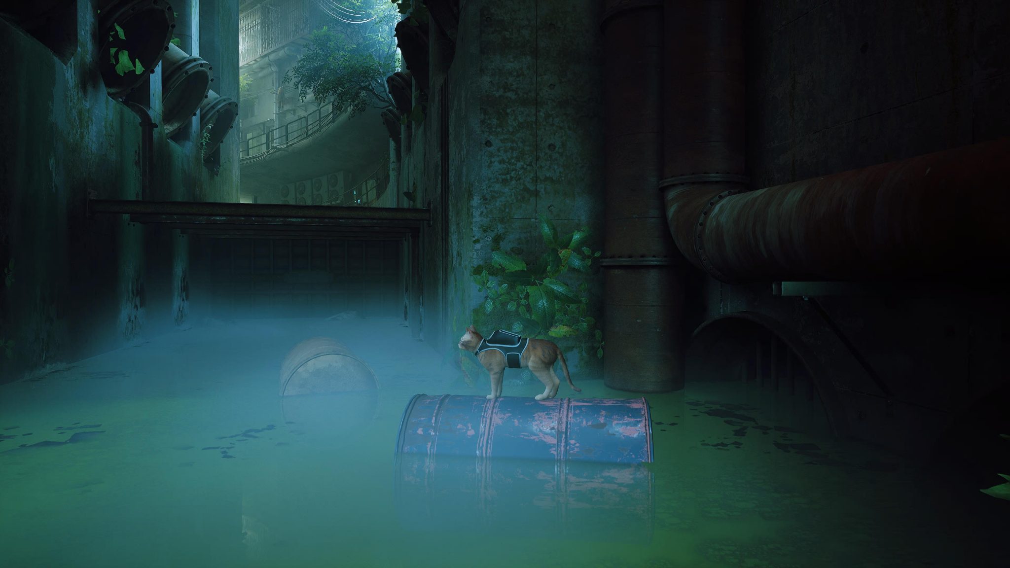 Stray (PS5): COMPLETED! – deKay's Lofi Gaming